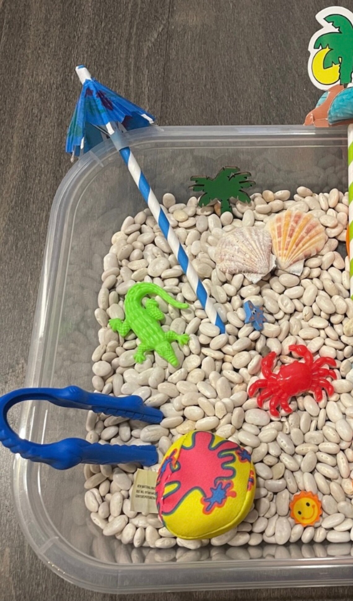 Beach Sensory Bin, Beach Activity, Pretend Play, Sensory Toy, Activity ...