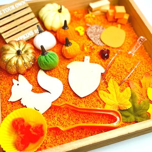 Fall Toddler Sensory Bin, Fall Activity, Sensory Kit, Sensory Box ...