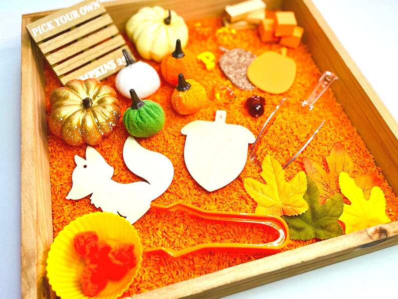 Fall Toddler Sensory Bin, Fall Activity, Sensory Kit, Sensory Box ...