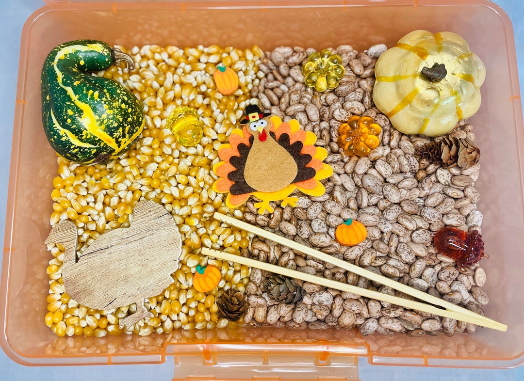 Thanksgiving Activity, Thanksgiving Sensory, Sensory Bin, Fall Activity ...