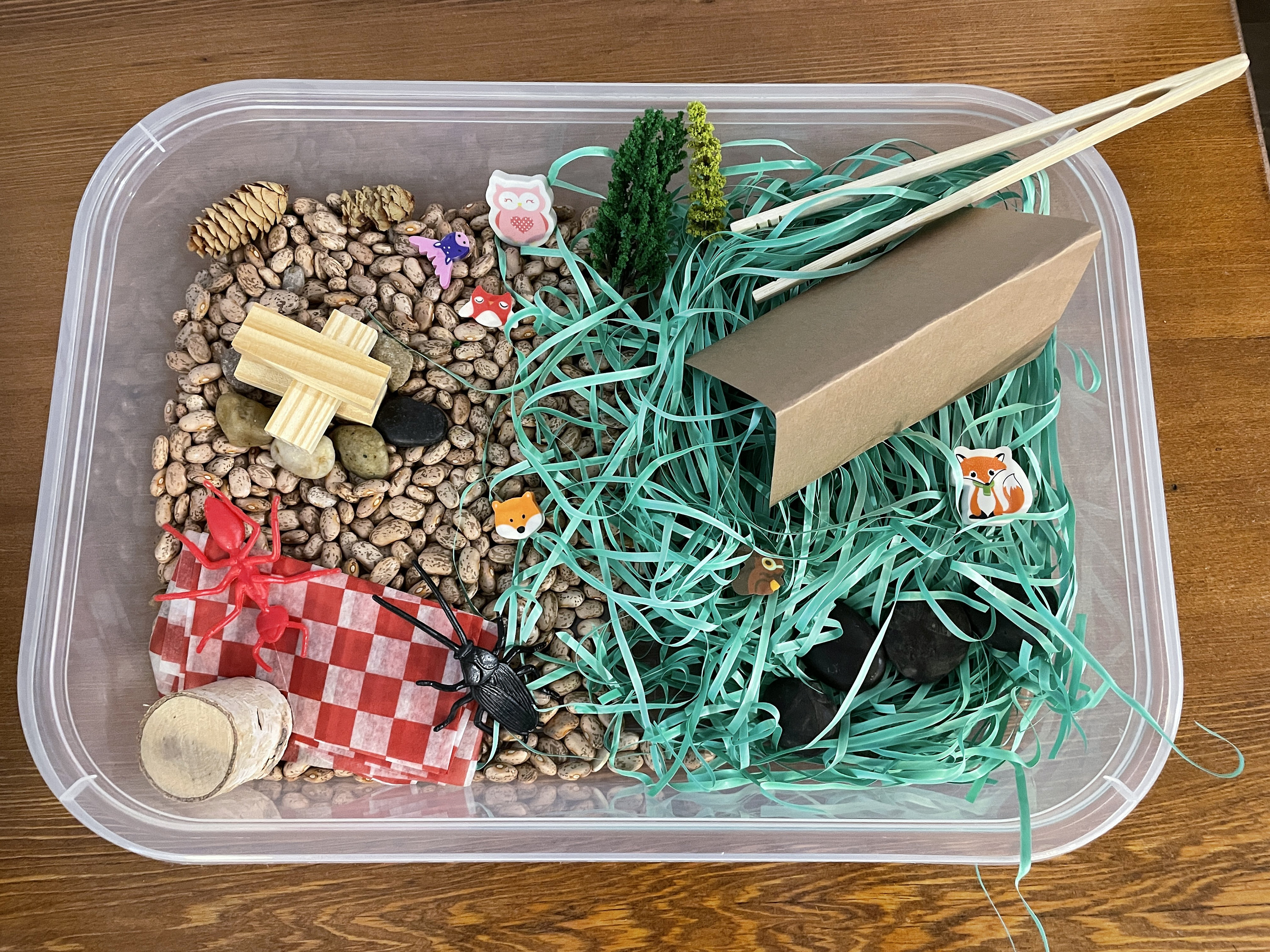 Camp Sensory Bin, Camp Activity, Pretend Play, Sensory Toy, Play Kit ...