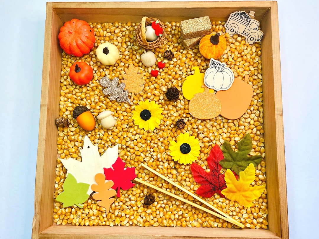 Fall Sensory Bin, Fall Activity, Autumn Sensory Kit, Sensory Box, Play ...