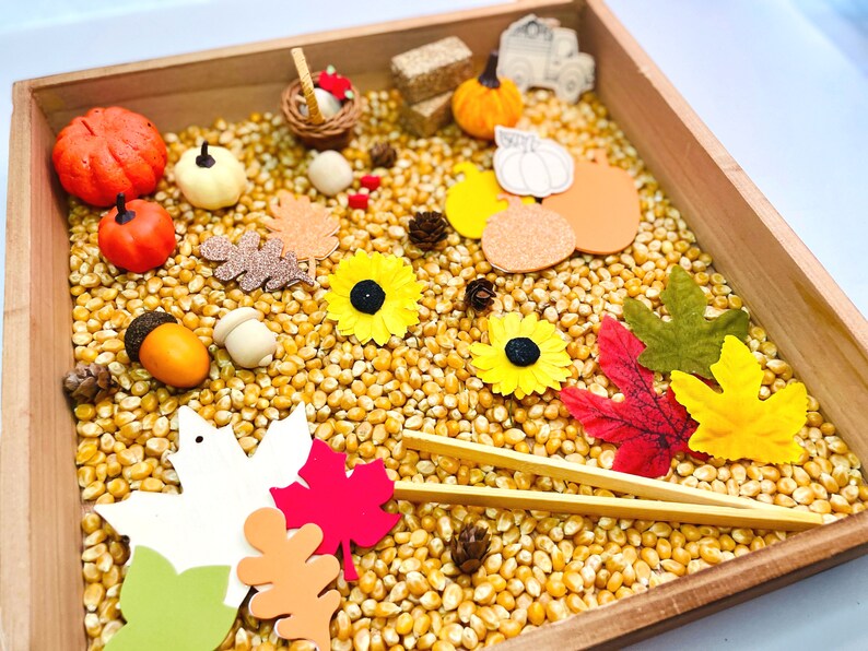 Fall Sensory Bin, Fall Activity, Autumn Sensory Kit, Sensory Box, Play ...