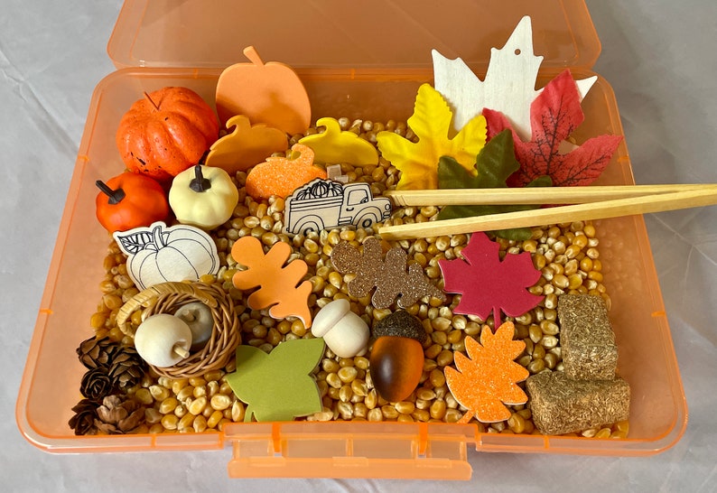 Fall Activity Kit, Sensory Kit, Learning Kit, Craft Kit, Home Learning ...