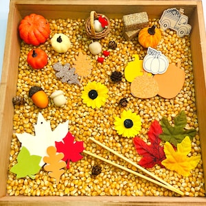 Fall Sensory Bin, Fall Activity, Autumn Sensory Kit, Sensory Box, Play ...