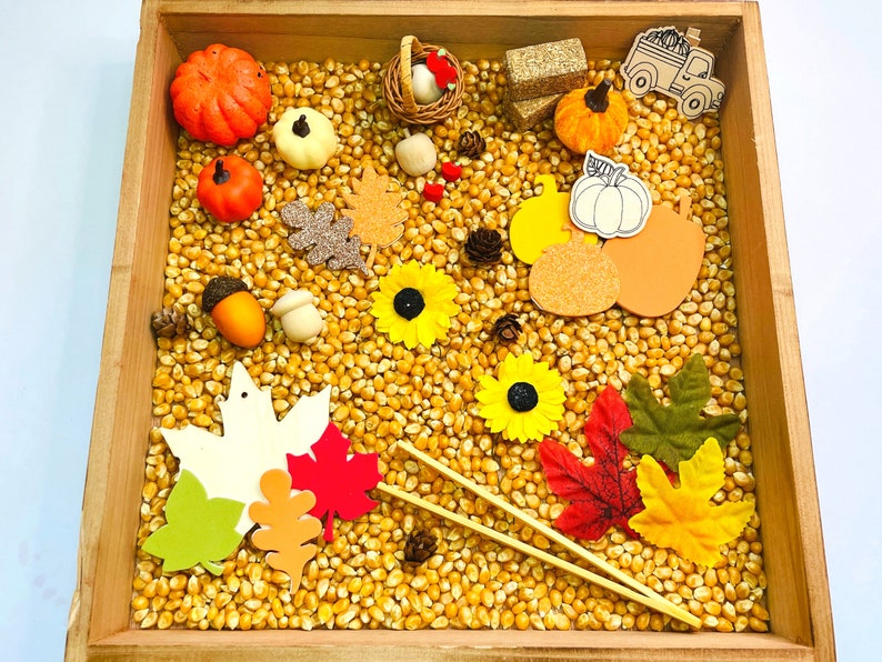 Fall Sensory Bin Fall Activity Autumn Sensory Kit Sensory - Etsy
