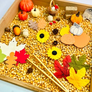 Fall Sensory Bin, Fall Activity, Autumn Sensory Kit, Sensory Box, Play ...