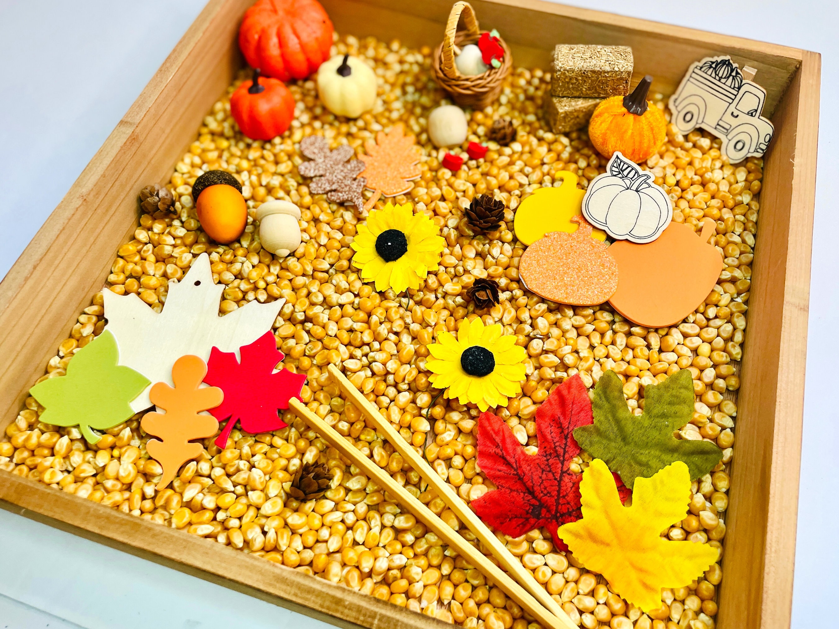 Fall Sensory Bin, Fall Activity, Autumn Sensory Kit, Sensory Box, Play ...