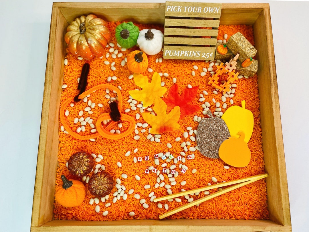 Pumpkin Patch Sensory Bin, Fall Activity, Pumpkins Sensory Kit, Sensory ...