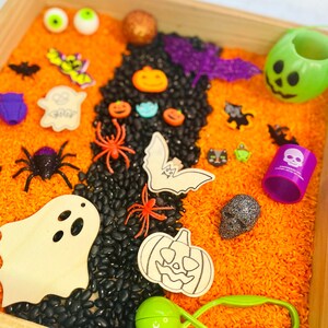 Halloween Sensory Bin, Halloween Activity, Sensory Kit, Spooky Sensory ...