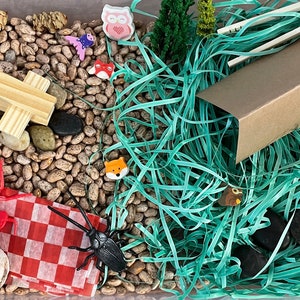 Camp Sensory Bin, Camp Activity, Pretend Play, Sensory Toy, Play Kit ...