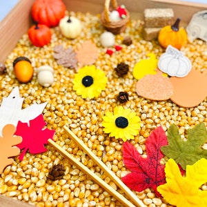 Fall Sensory Bin, Fall Activity, Autumn Sensory Kit, Sensory Box, Play ...