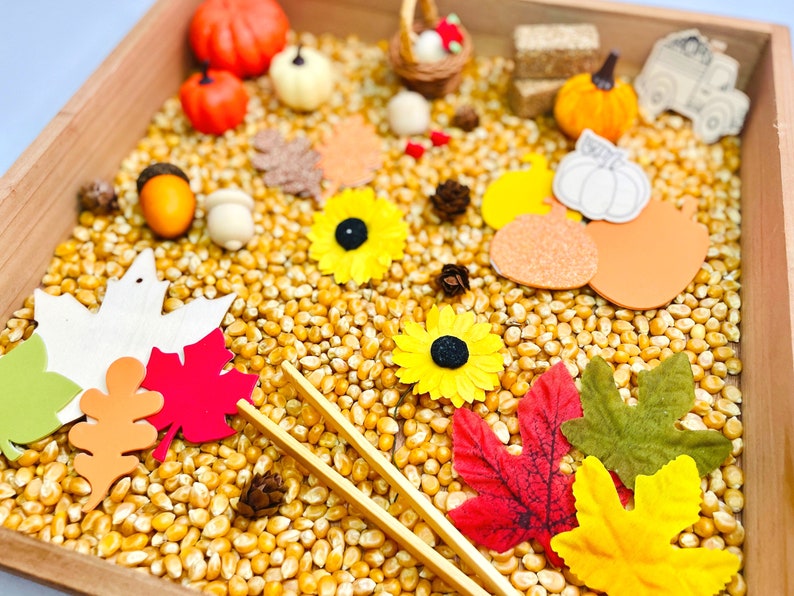 Fall Sensory Bin, Fall Activity, Autumn Sensory Kit, Sensory Box, Play ...