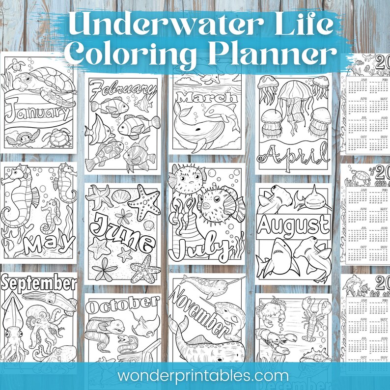 Under the Sea Coloring Planner Sea Creature Coloring Planner - Etsy