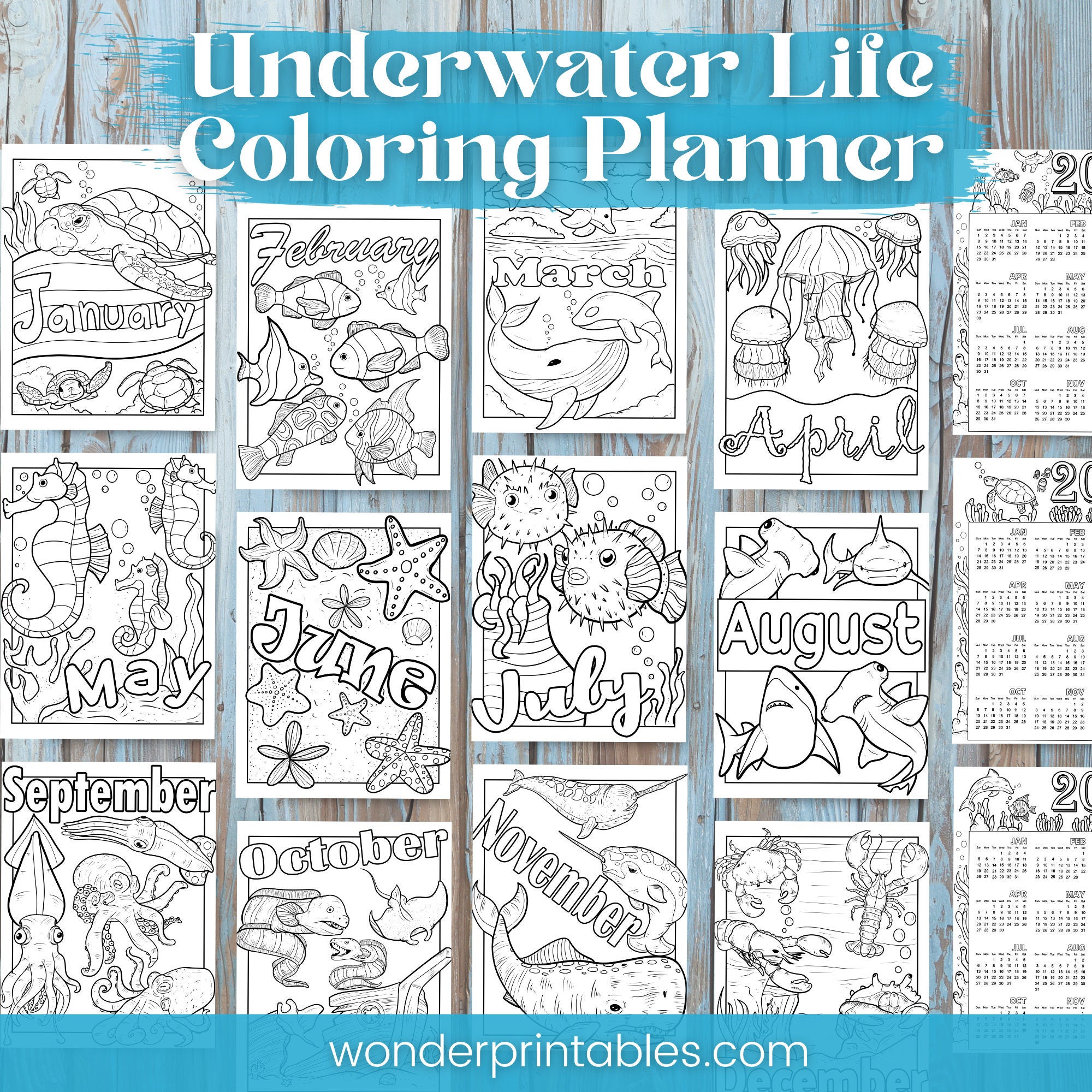 Under the Sea Coloring Planner, Sea Creature Coloring Planner and ...