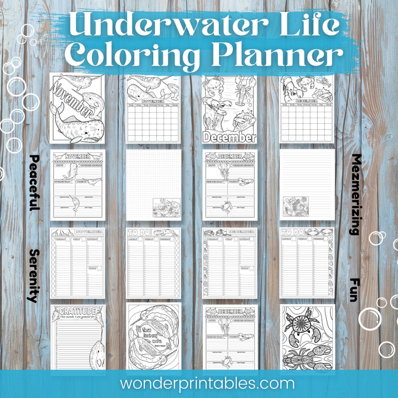 Under the Sea Coloring Planner Sea Creature Coloring Planner - Etsy