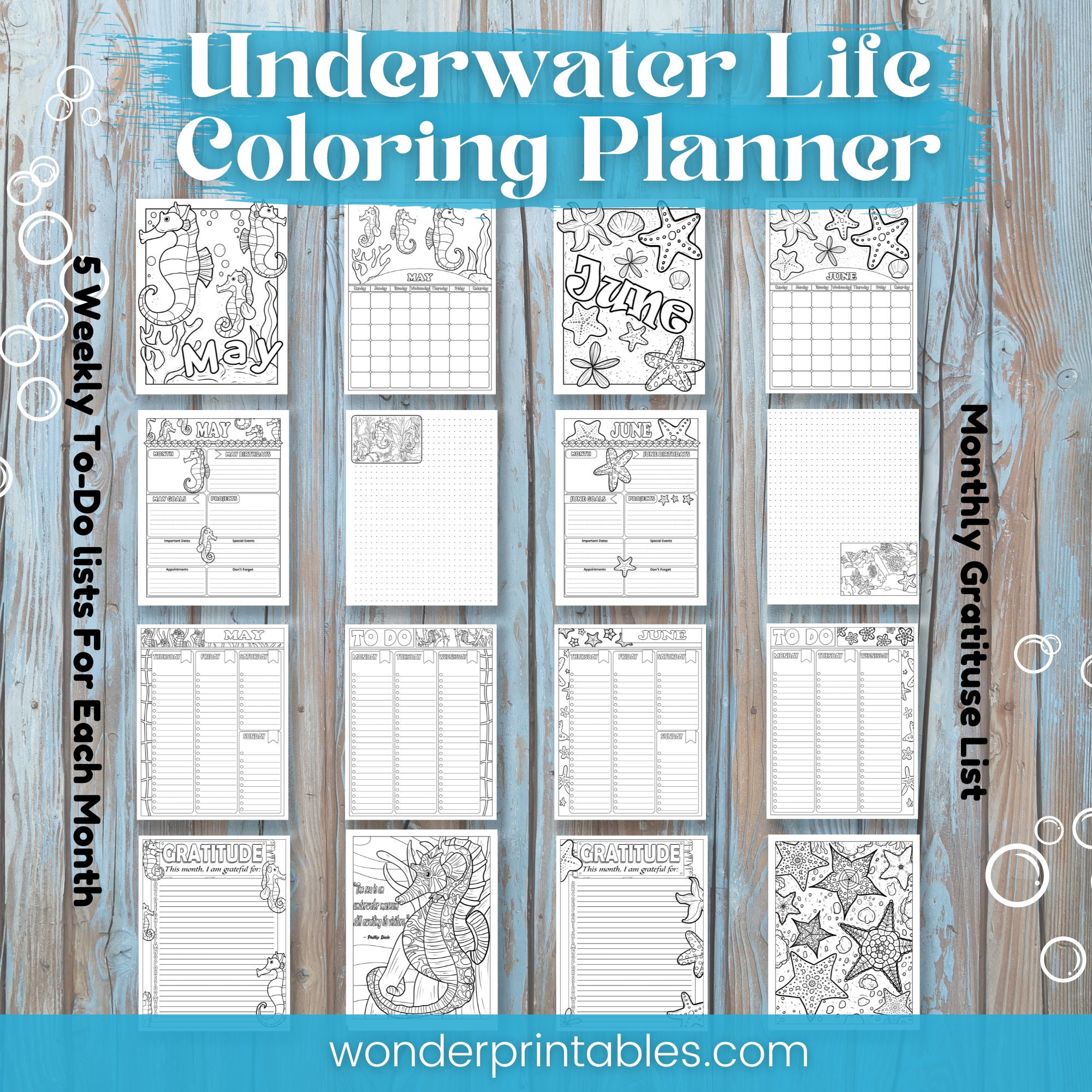 Under the Sea Coloring Planner, Sea Creature Coloring Planner and ...