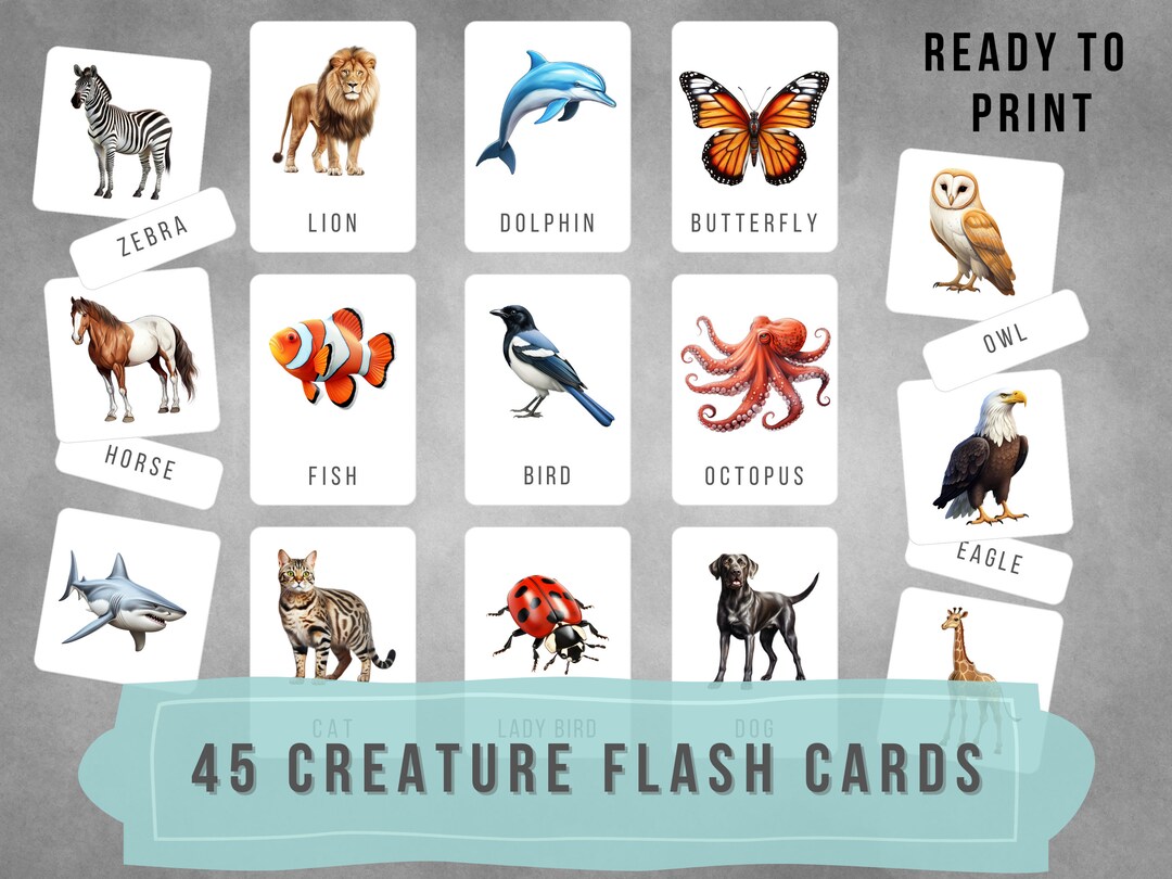 45 Creature Flash Cards Coloring Book Montessori Pre-school Animals 3 ...