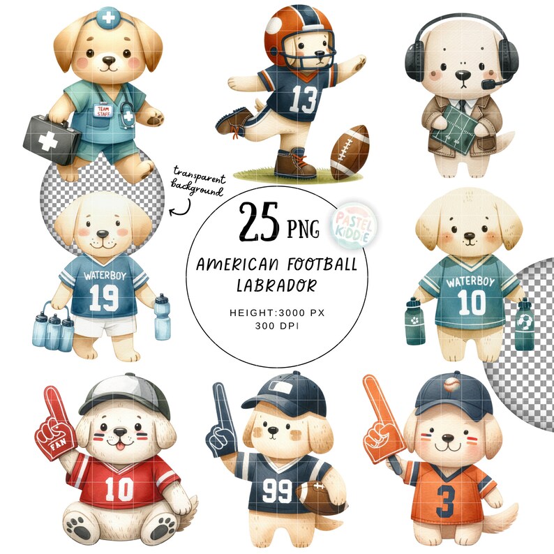 Labrador Retriever, American Football Games, Football Gifts, Football ...