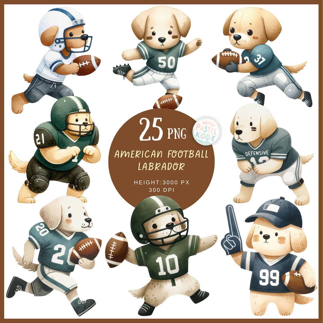 Labrador Retriever, American Football Games, Football Gifts, Football ...