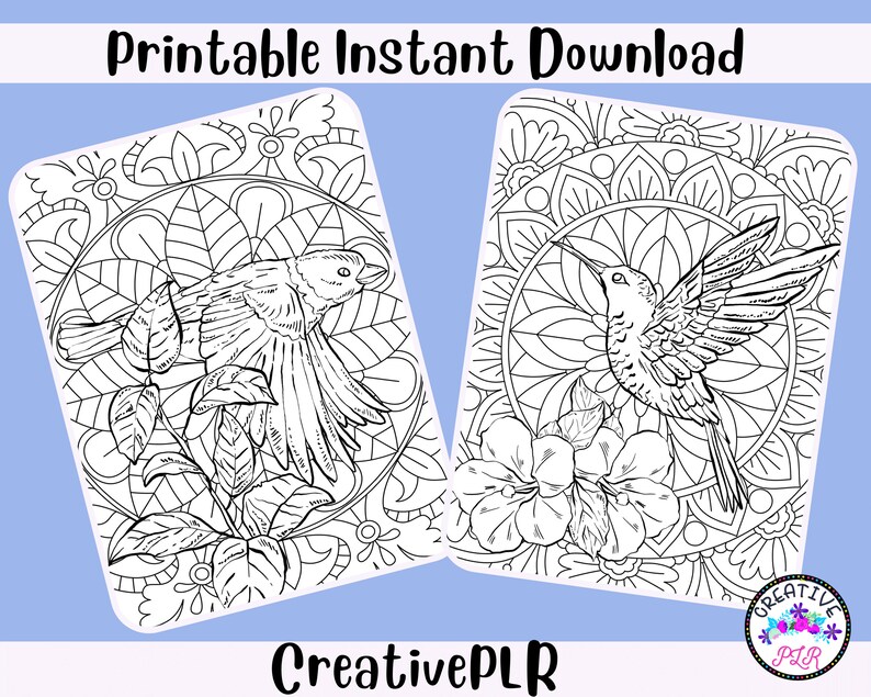 Bird Coloring Pages | 10 Printable Coloring Pages | Instant Download - Etsy