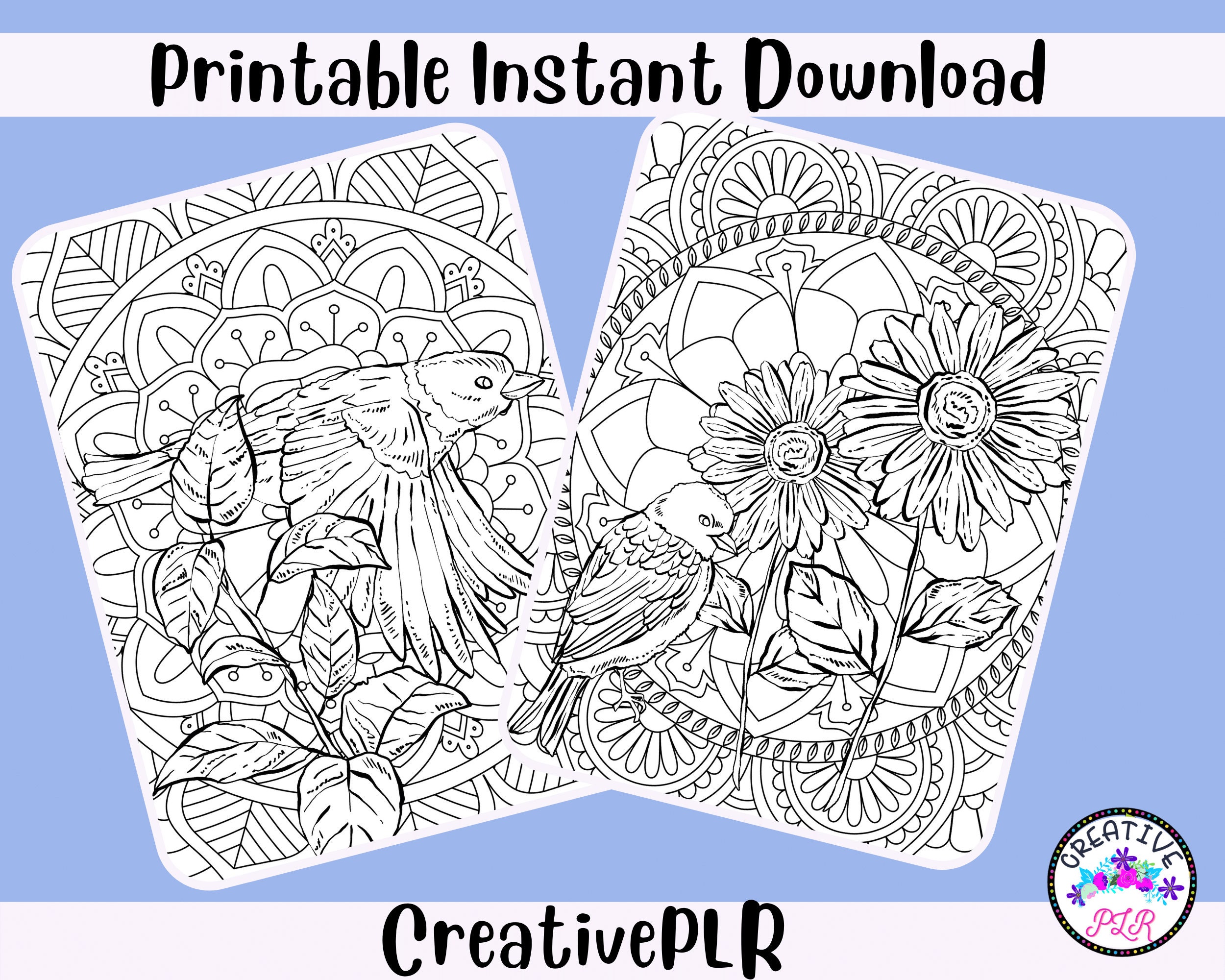 Bird Coloring Pages | 10 Printable Coloring Pages | Instant Download - Etsy