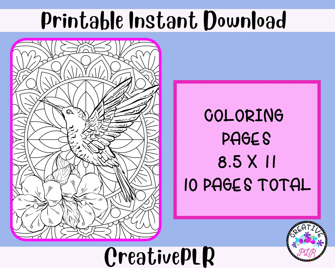 Bird Coloring Pages | 10 Printable Coloring Pages | Instant Download - Etsy