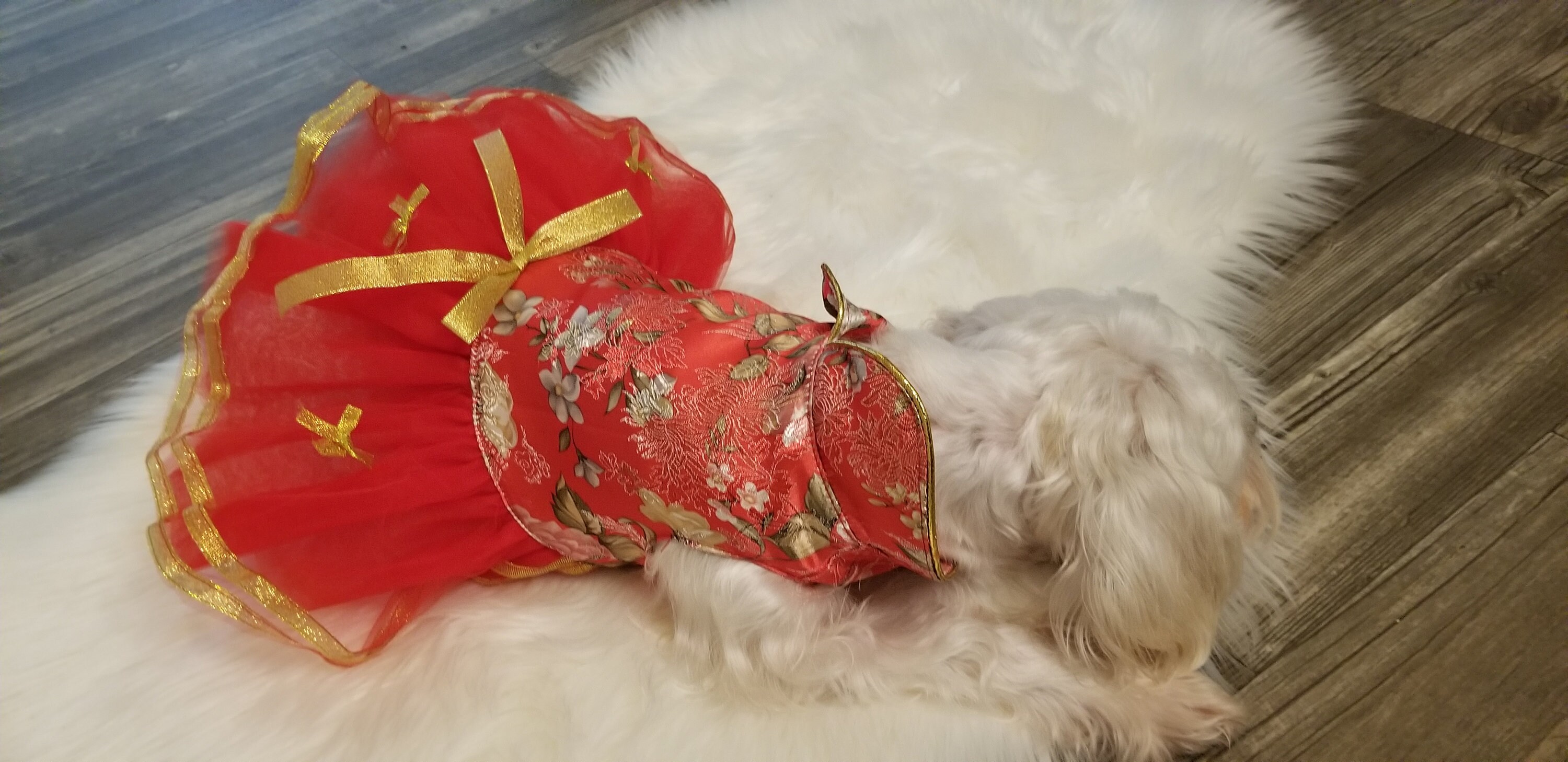 Red Princess Tutu - Etsy