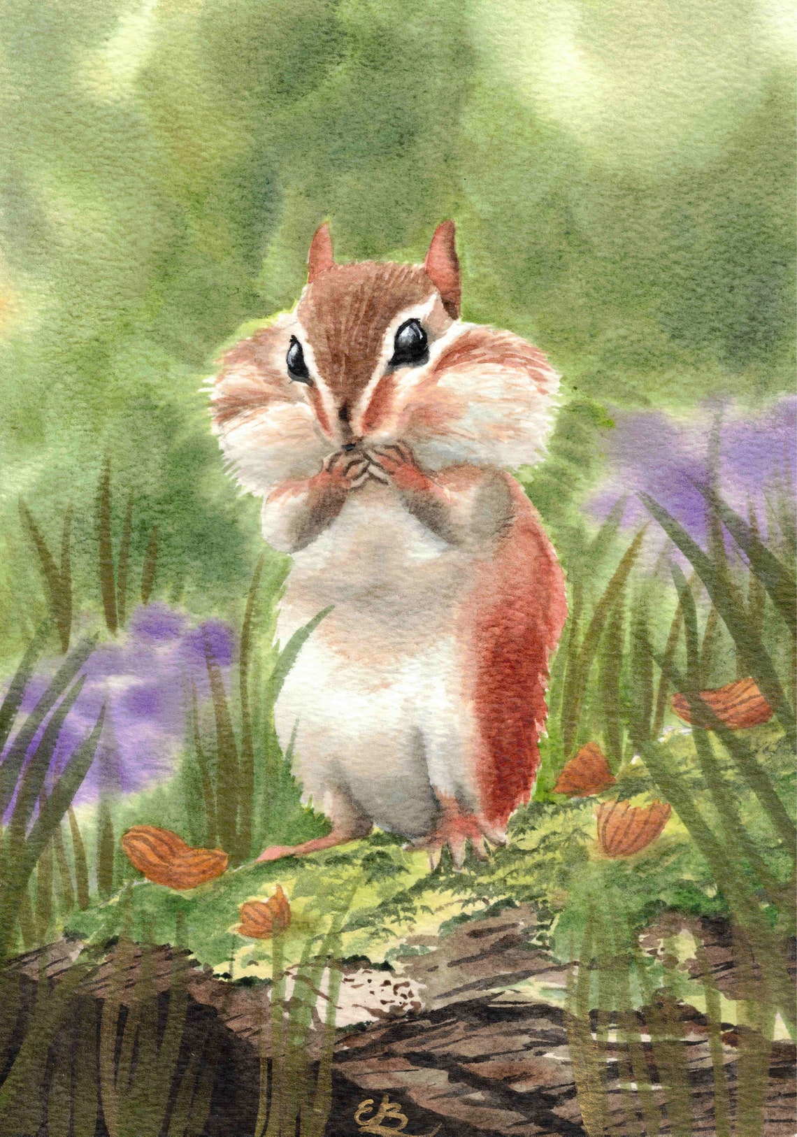 CHIPMUNK Original Watercolour Painting - Etsy