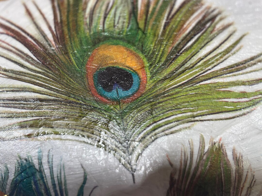 Peacock Feather. Decoupage Clam Shell. - Etsy