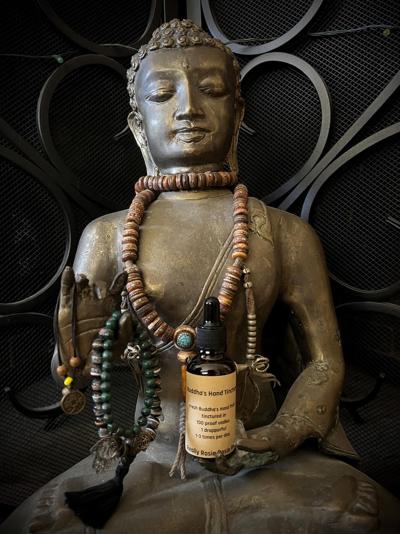 Buddha's Hand Tincture - Etsy
