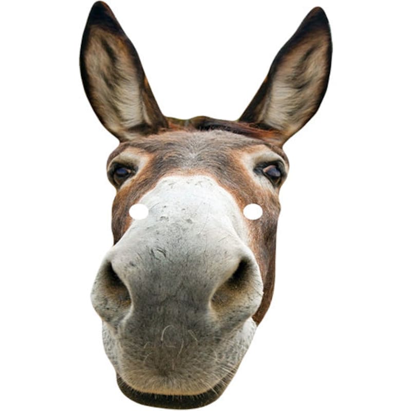 Donkey Mask - Etsy