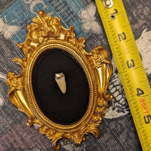 Teeth - Etsy