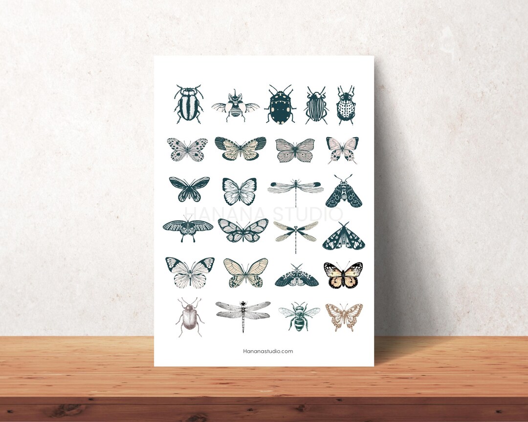 Digital Printable Vintage Insects Ephemera / Insects Butterfly ...