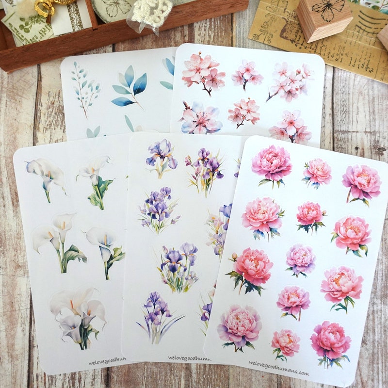 Peony Sticker - Etsy