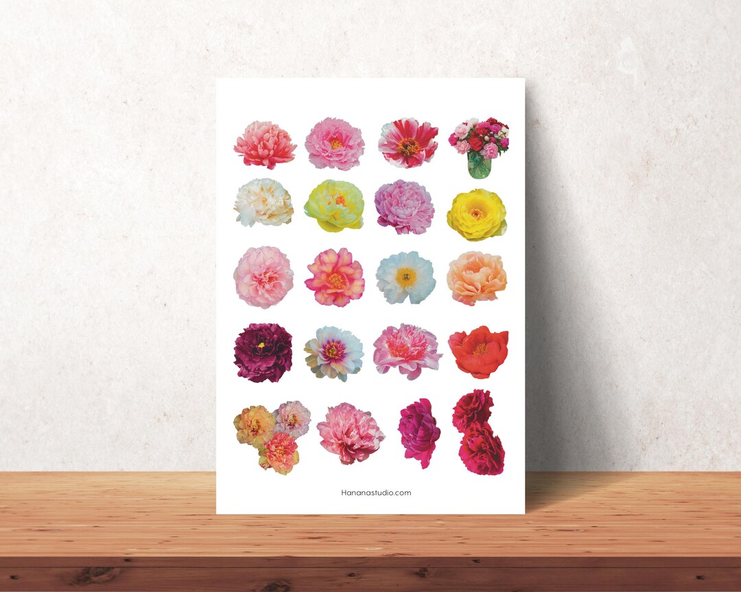 Digital Printable Real Life Flowers / Digital Flower Cut-out ...