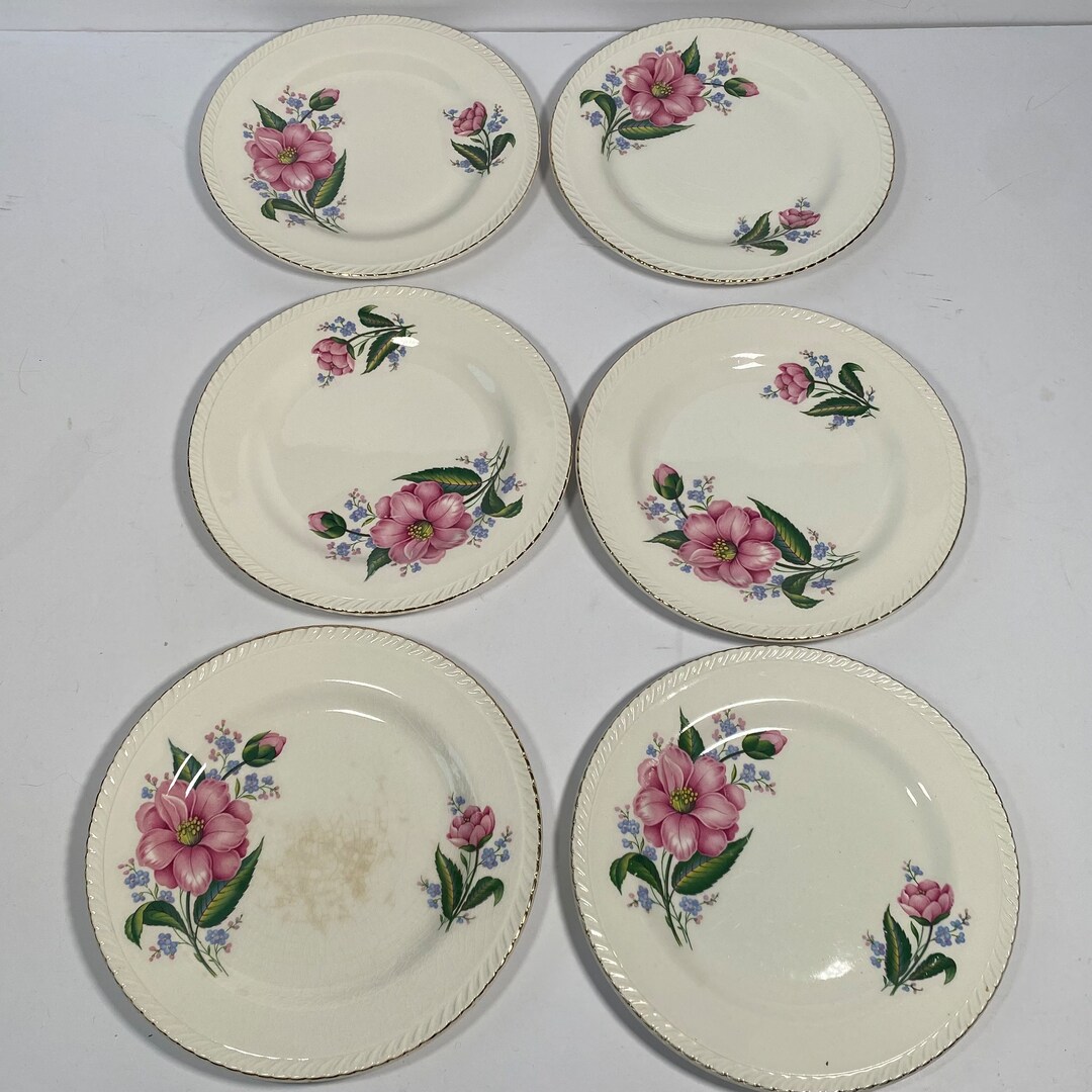 Vintage Coronet Ware Pink Floral Flower Pattern Side Plates X 6 Retro ...