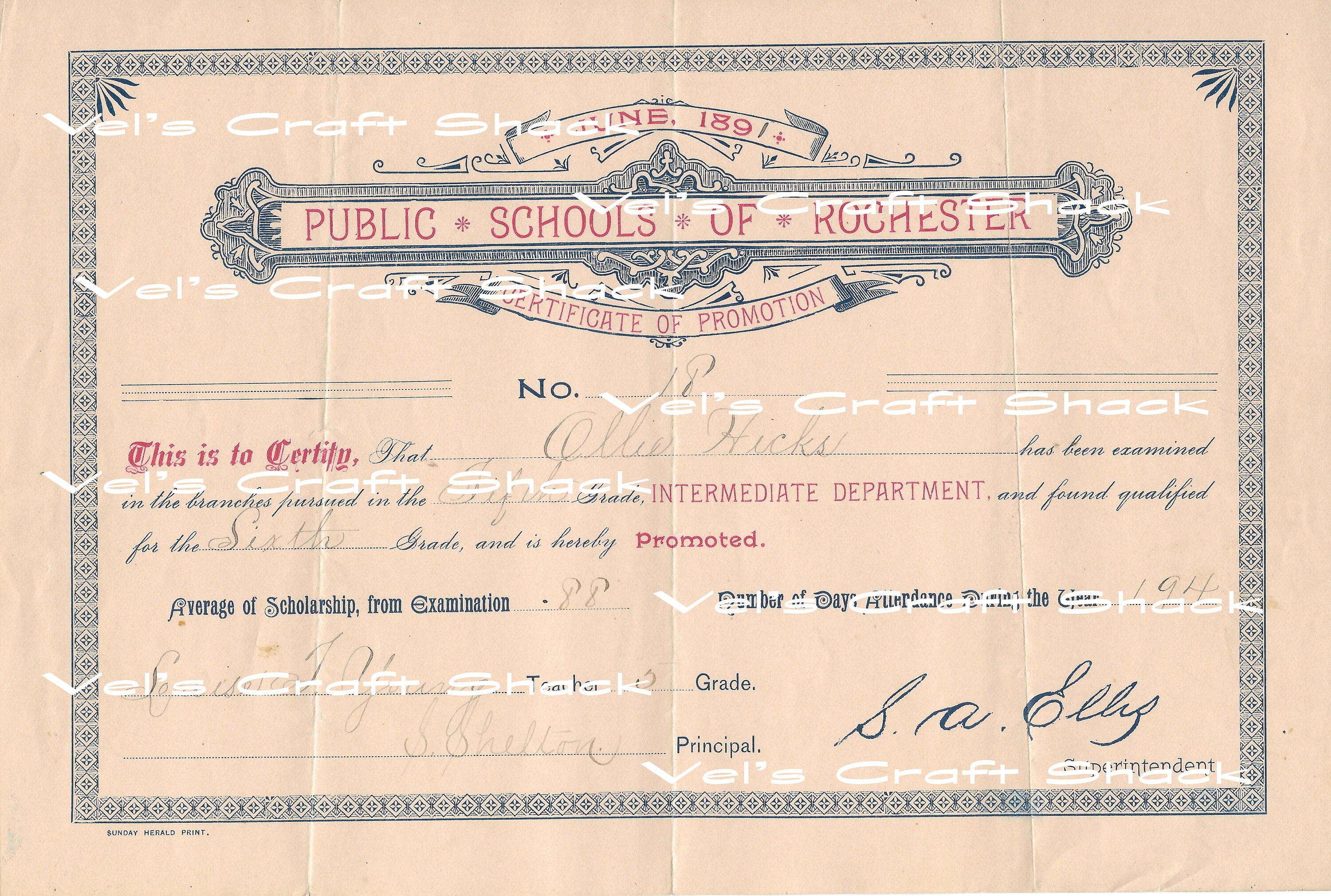 Unique, Unusual Collection of Vintage Documents 10 Total - Etsy