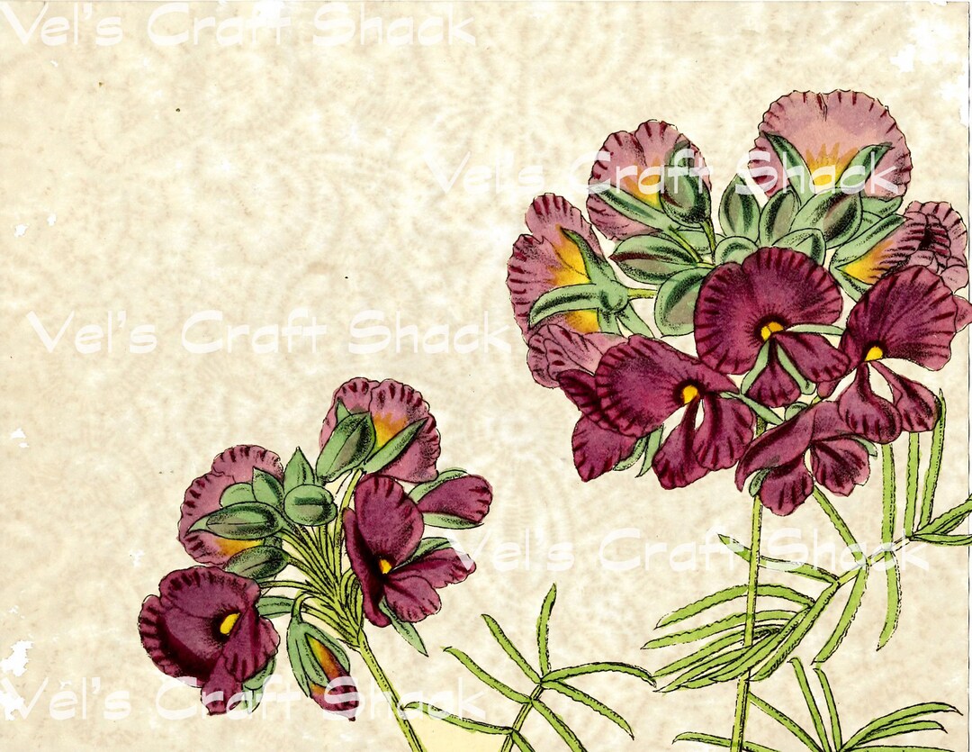 Spring Florals Digital Kit - 16 Pages of Backgrounds Plus Ephemera! - Etsy