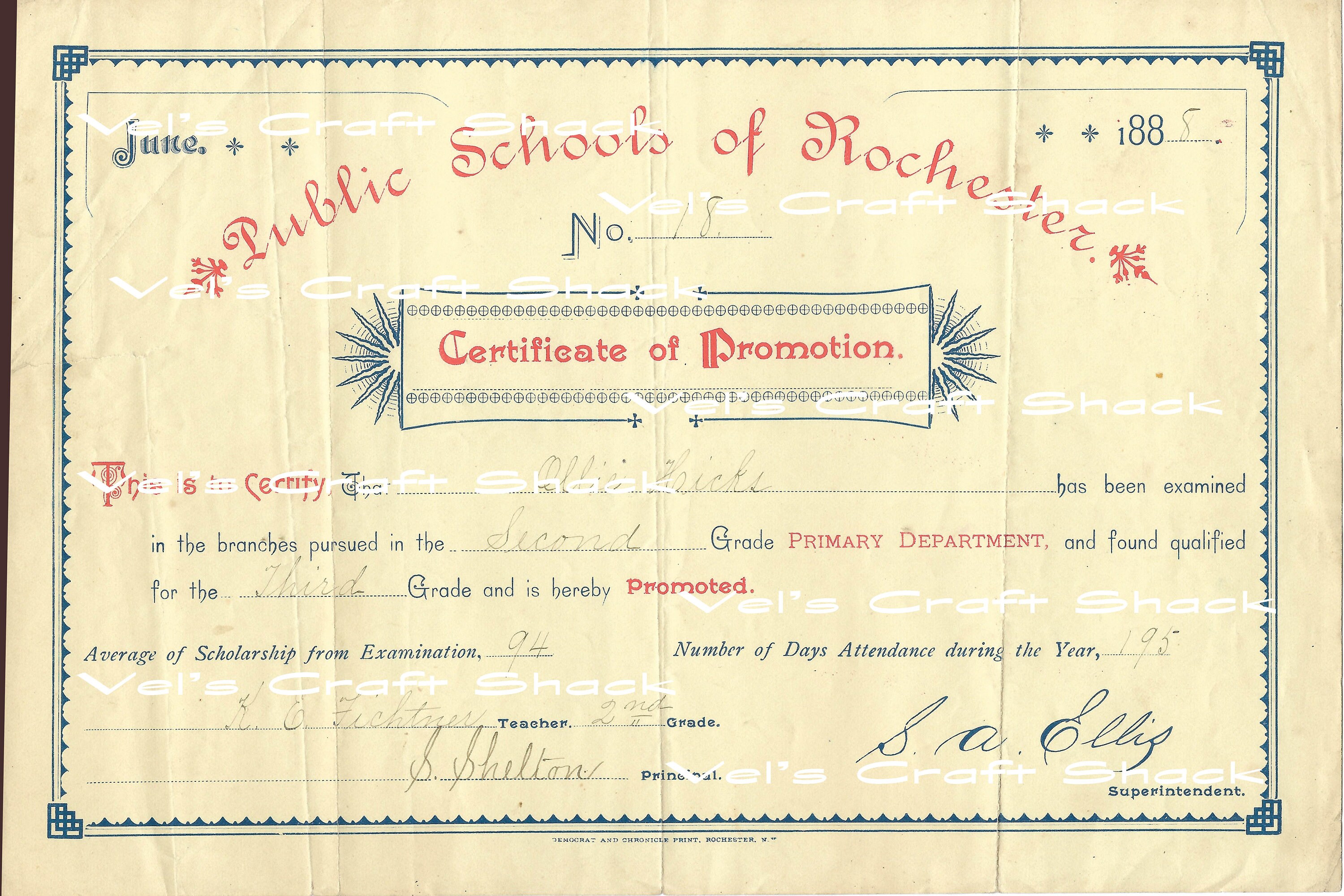 Unique, Unusual Collection of Vintage Documents - 10 Total! - Etsy