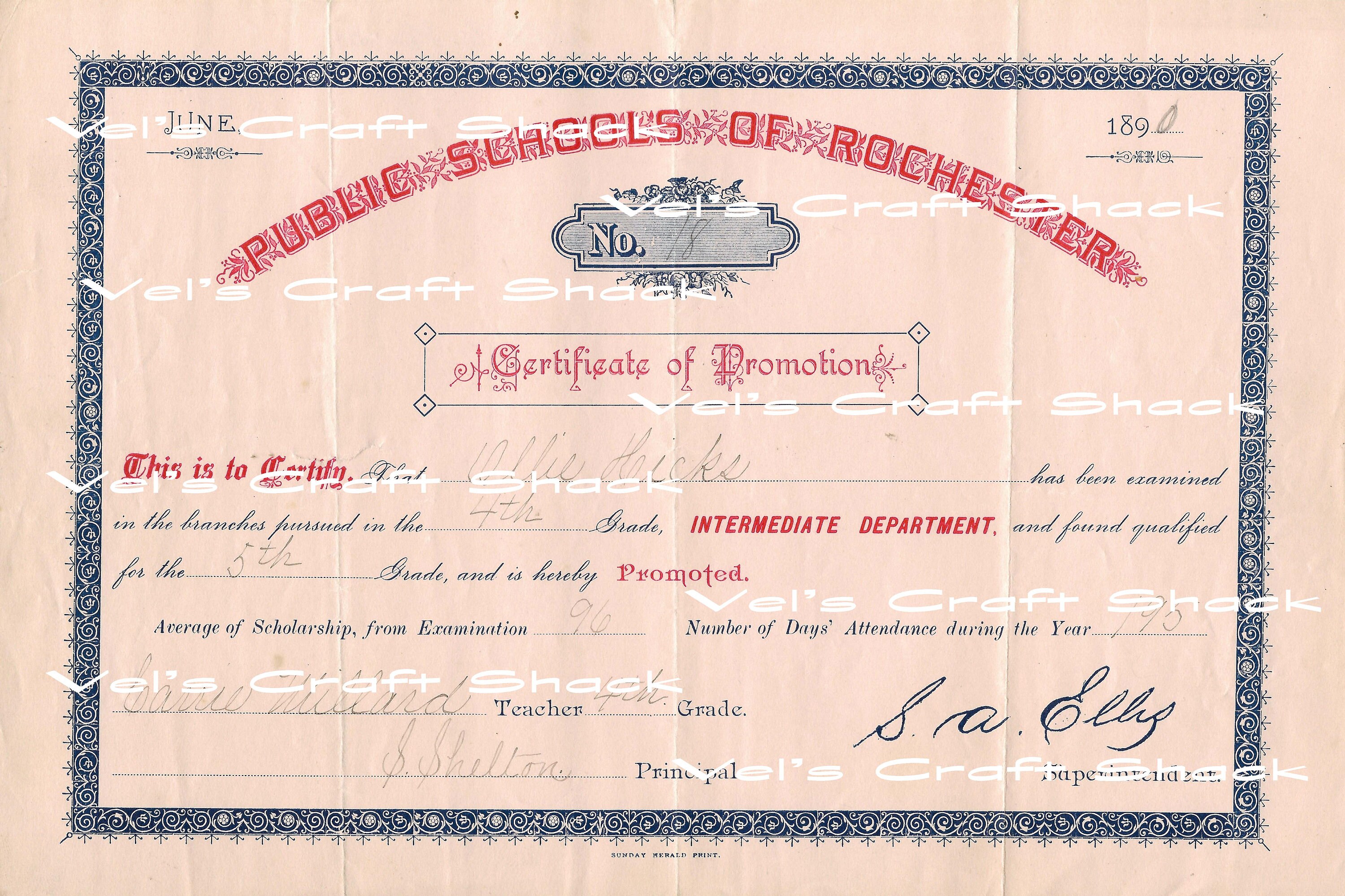 Unique, Unusual Collection of Vintage Documents 10 Total - Etsy