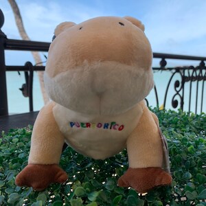 Peluche De Rana De Puerto Rico - Etsy