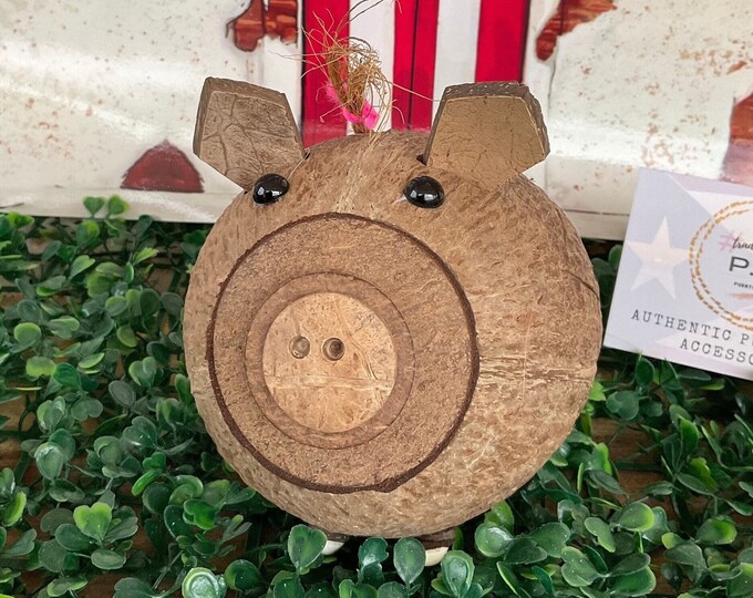 Puerto Rico Handmade Coconut Shell Piggy Coin Bank - Etsy