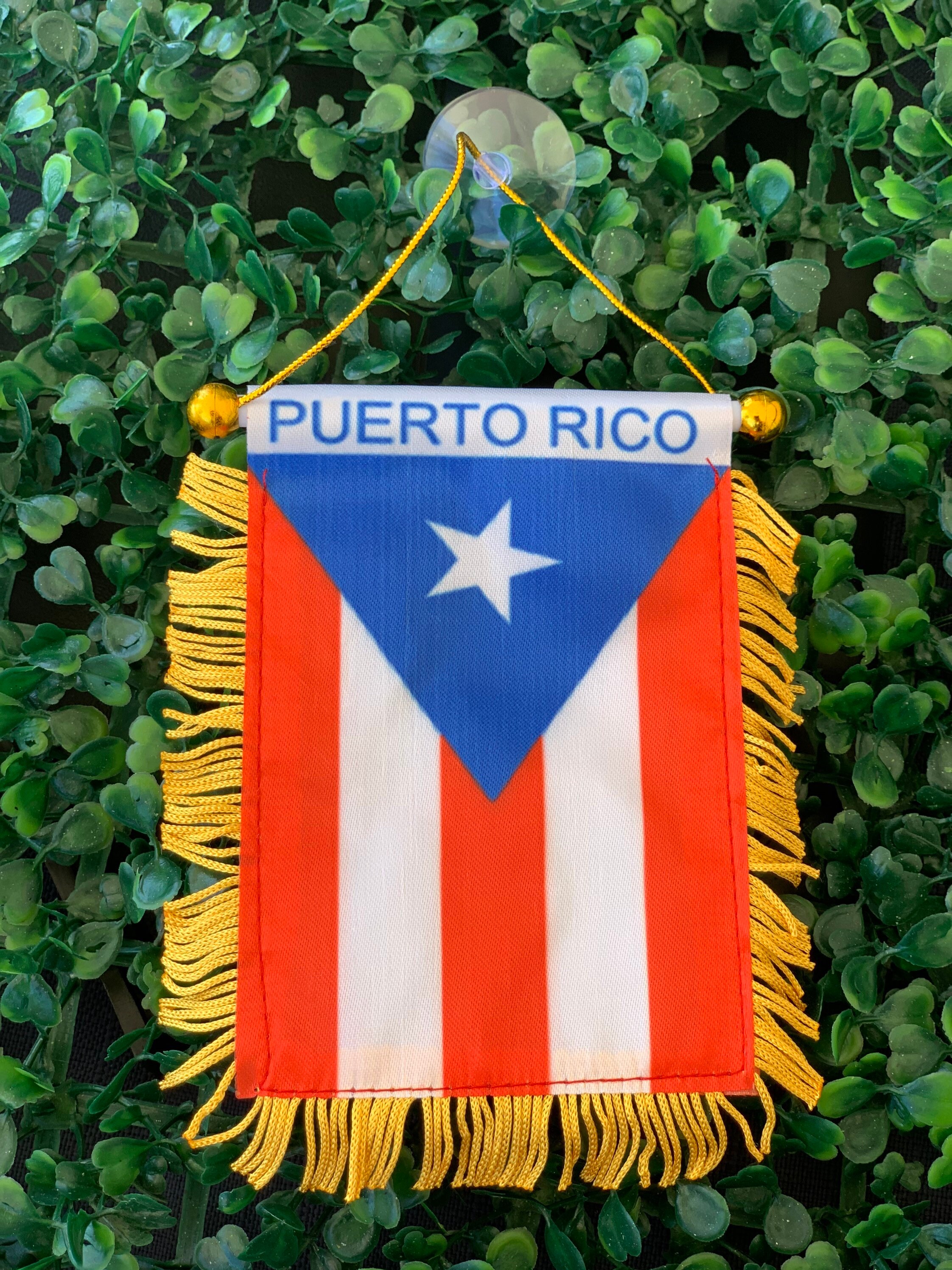 Puerto Rico Mini Banners and Mini Plaque With Stand Set | Etsy