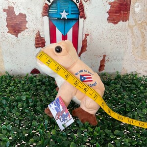 Peluche De Rana De Puerto Rico - Etsy
