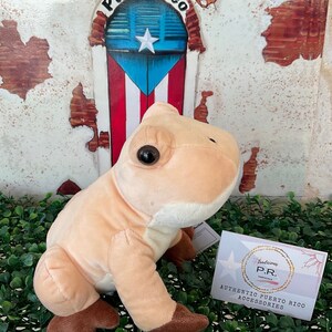 Peluche De Rana De Puerto Rico - Etsy