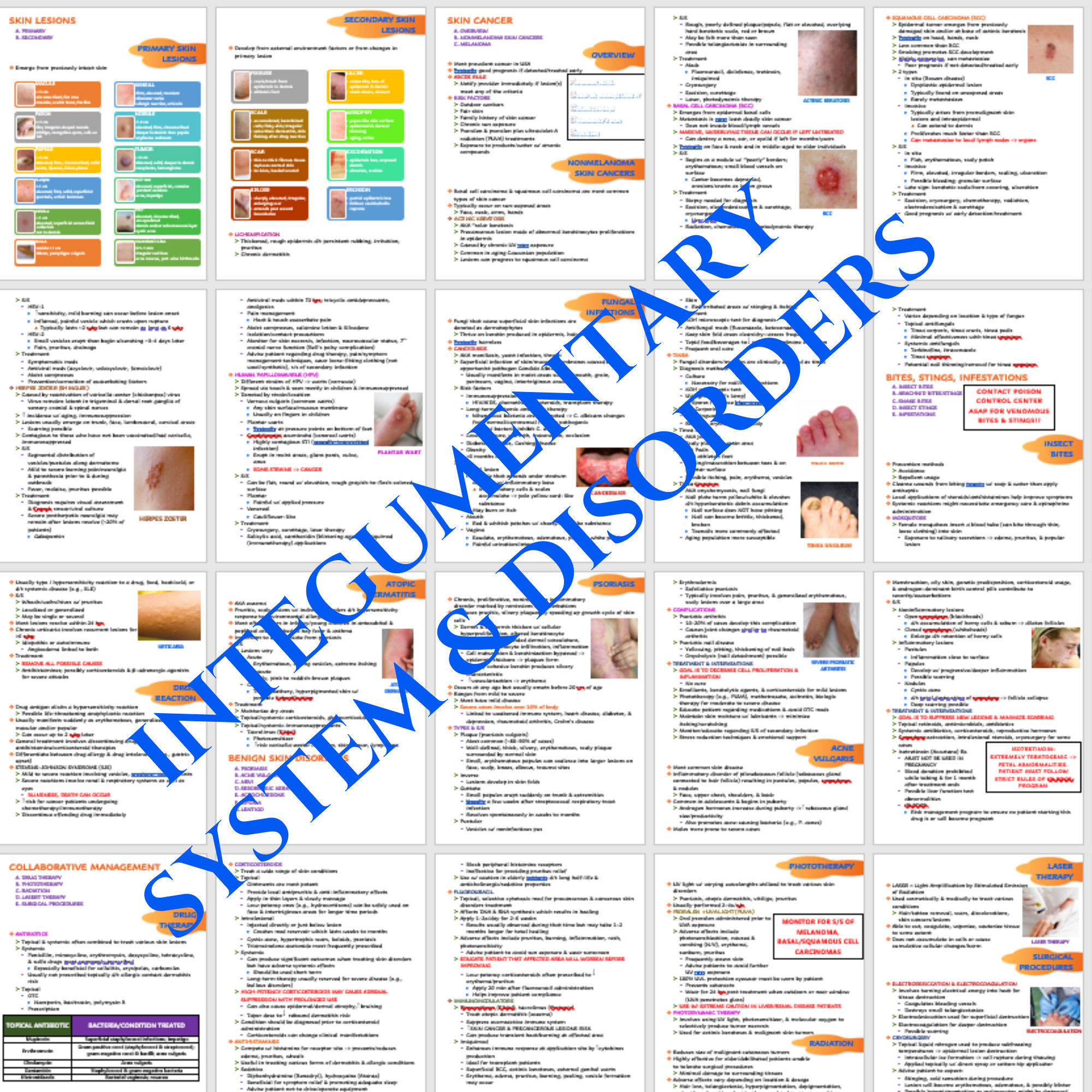 Integumentary System & Wounds Nursing School Notes Bundle - Etsy