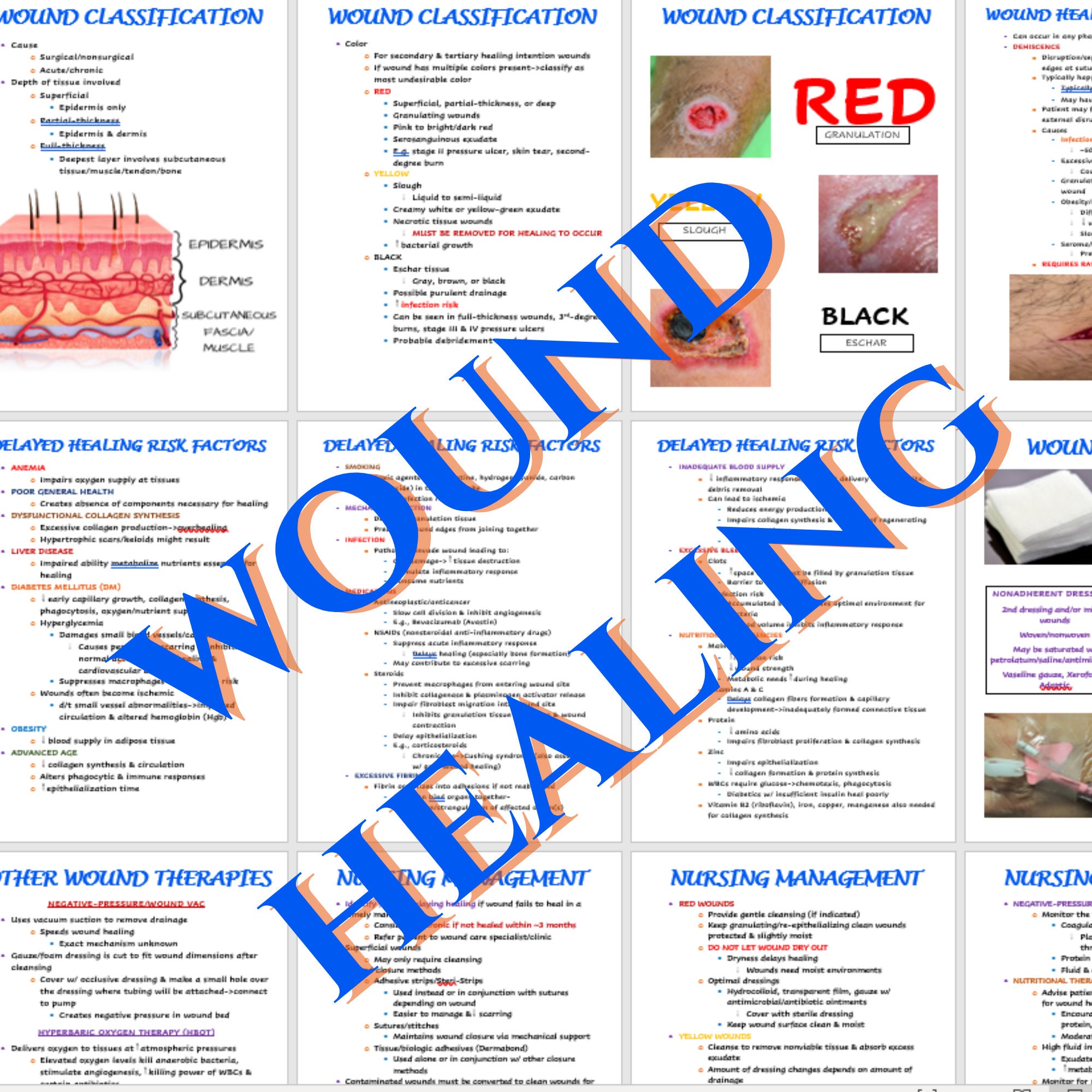 Integumentary System & Wounds Nursing School Notes Bundle - Etsy