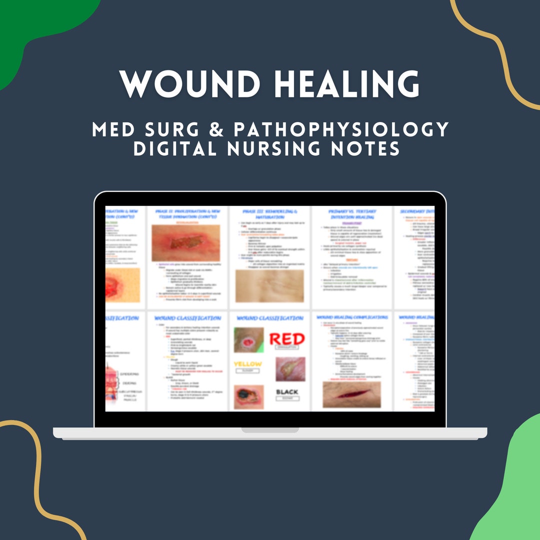 Wound Healing Nursing School Notes - Etsy