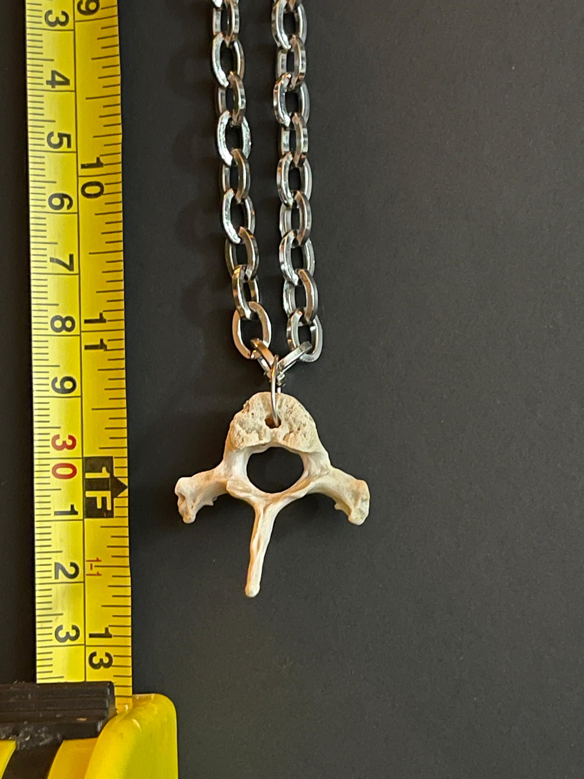 Vertebra Spine Bone Raccoon Quartz Silver Chain Necklace Jewelry - Etsy